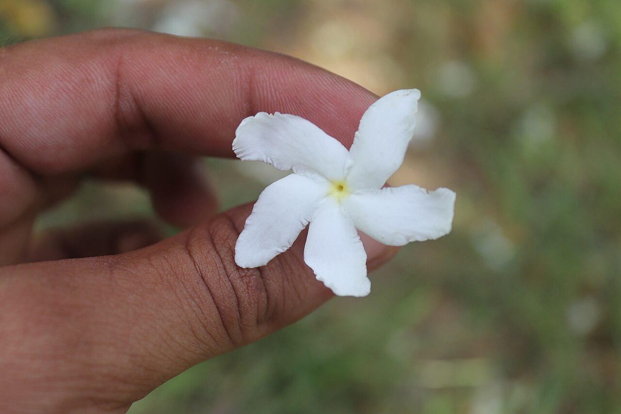 Thought for the day, Saturday 9th December – Chorlton Unitarians